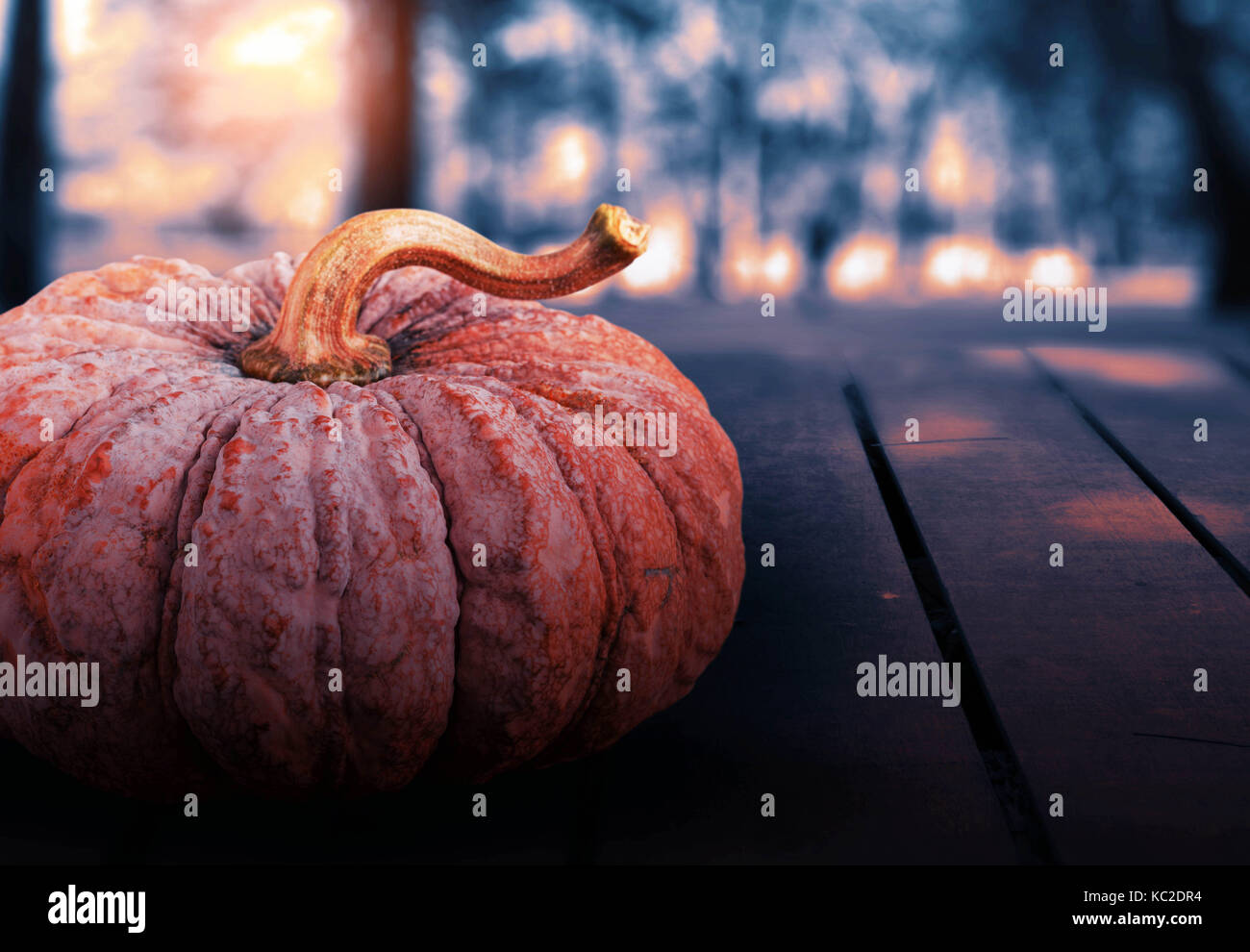 Pumpkin on wooden floor with wild background Stock Photo - Alamy