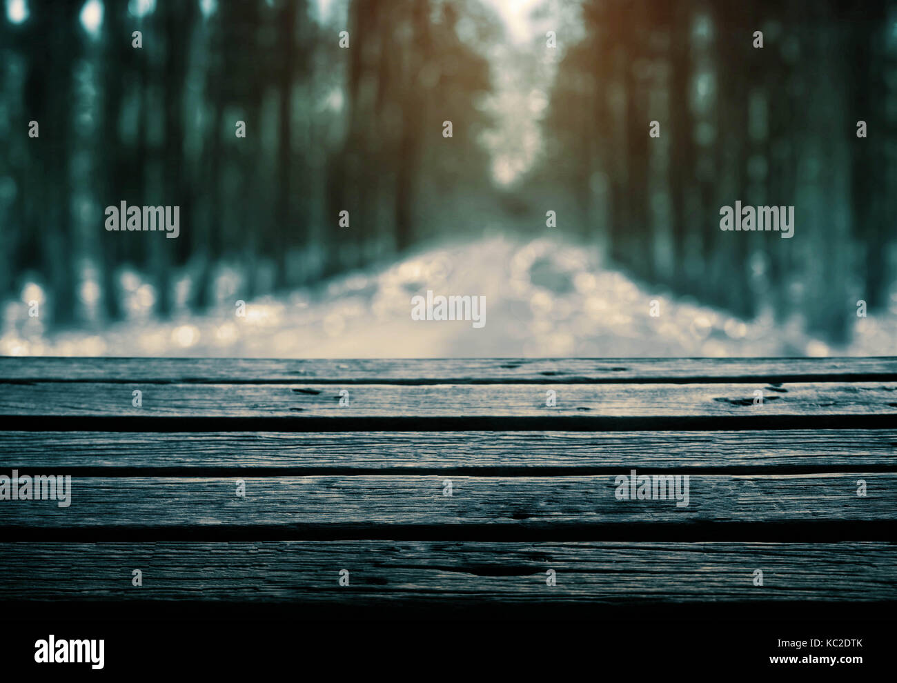 Wooden floor with walkway in forest Stock Photo - Alamy