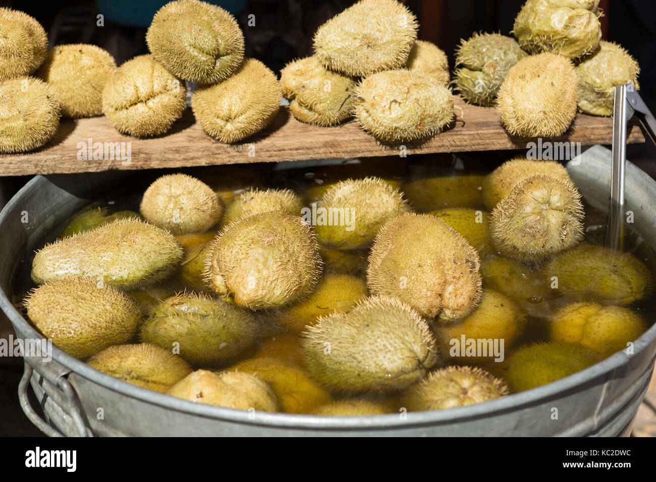 boiled chayote in Mexico Stock Photo - Alamy