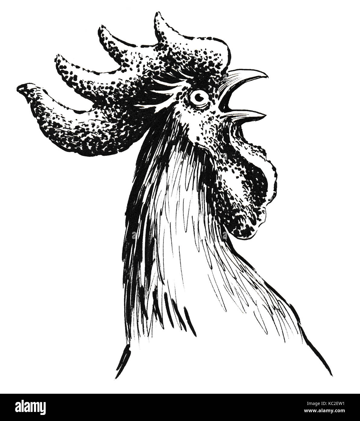 Rooster artwork Cut Out Stock Images & Pictures - Alamy