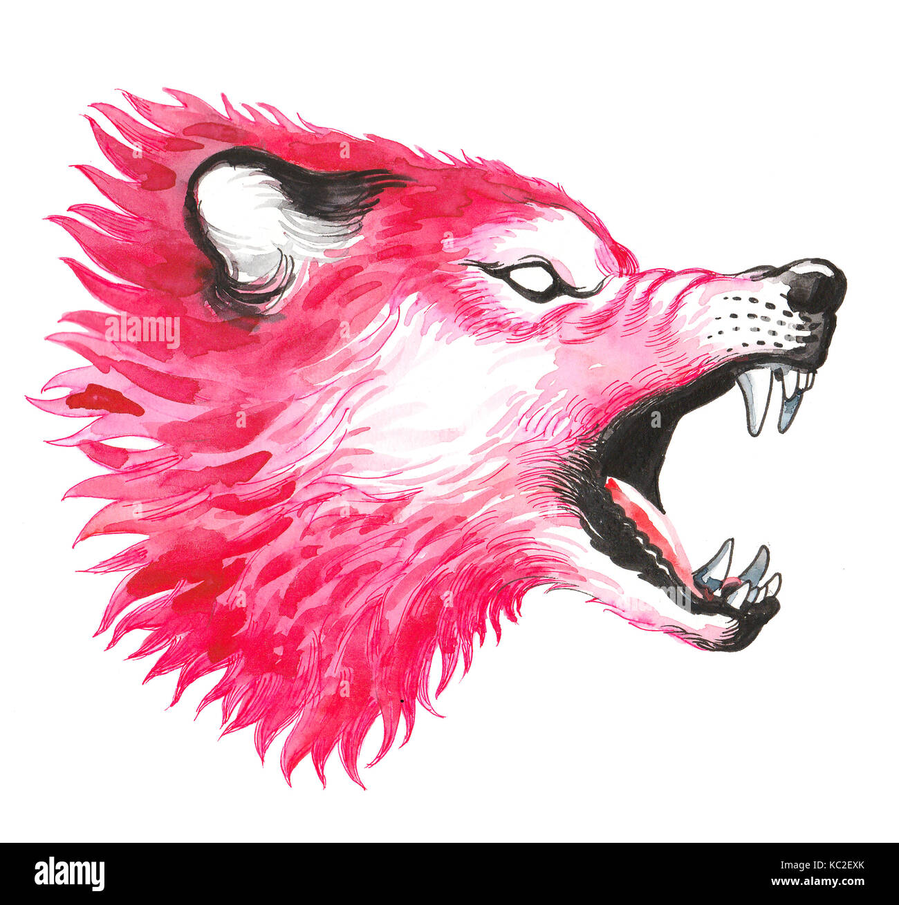 Wolf teeth painting hi-res stock photography and images - Alamy