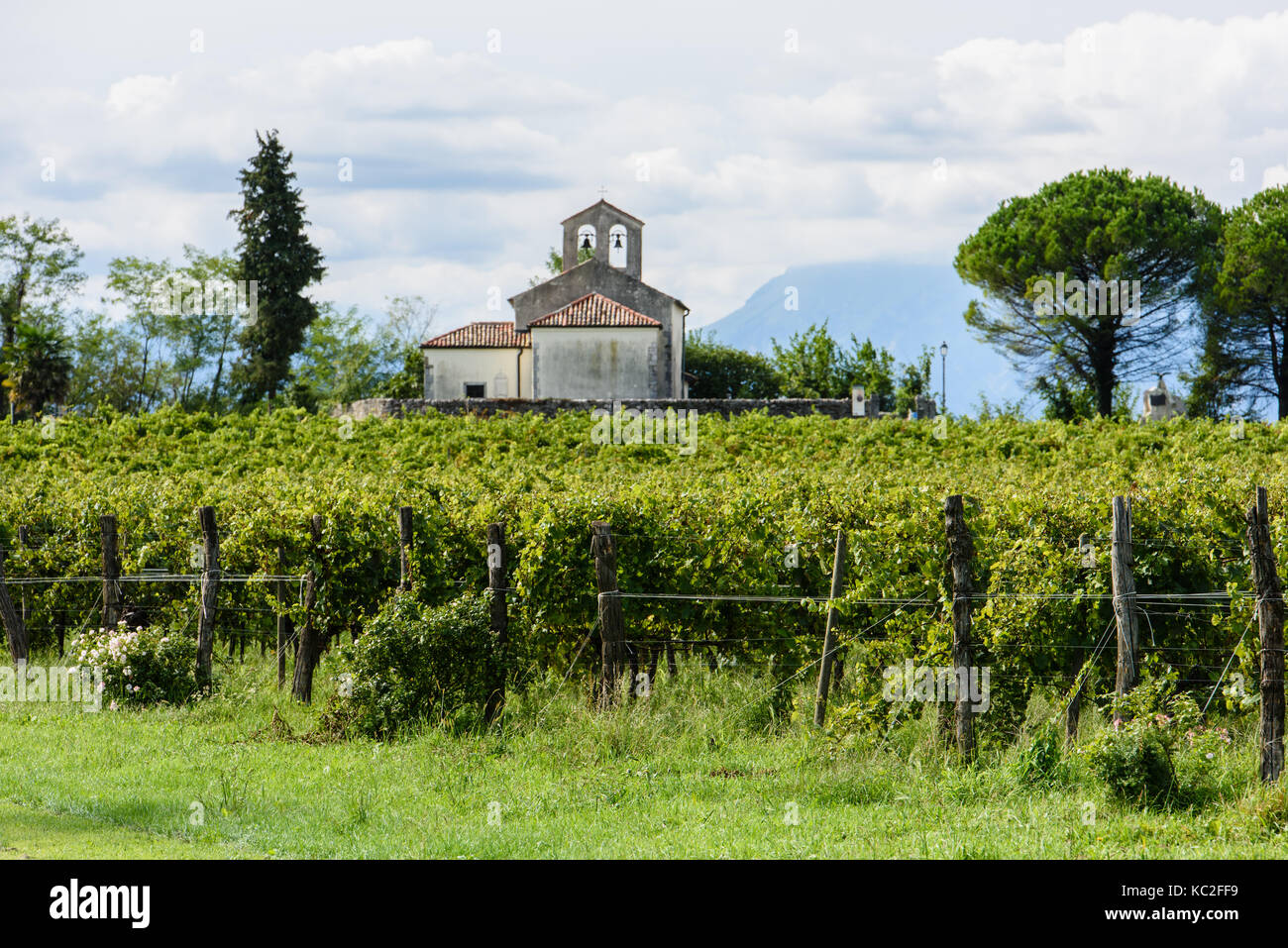 Church in the vineyards Stock Photo - Alamy