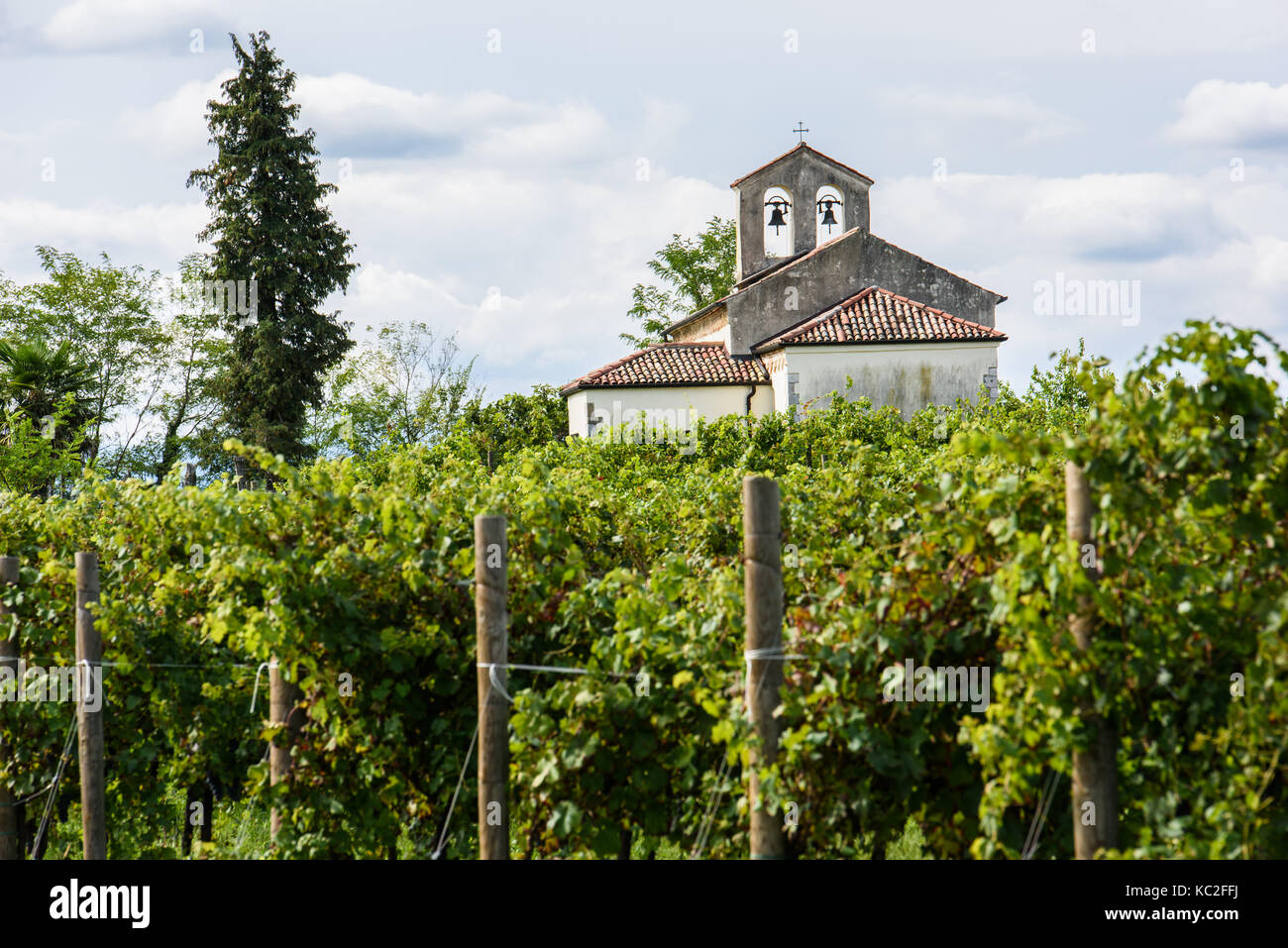 Church in the vineyards Stock Photo - Alamy