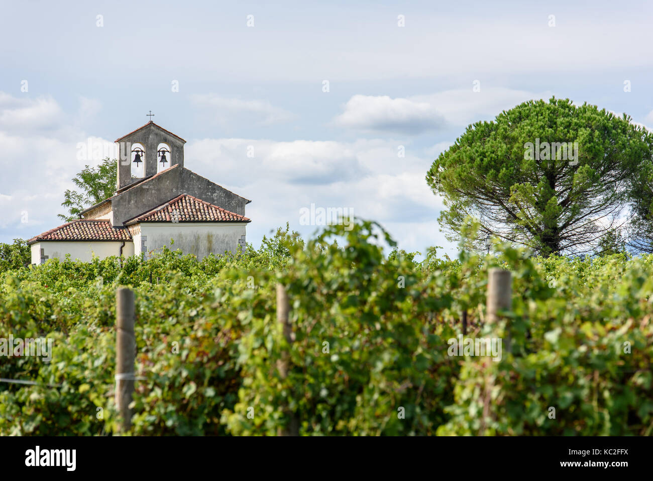 Church in the vineyards Stock Photo - Alamy