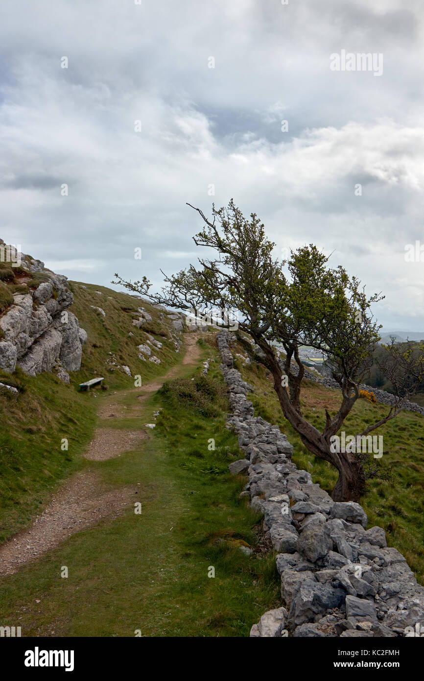 View on mountain pathway and tree Stock Photo - Alamy