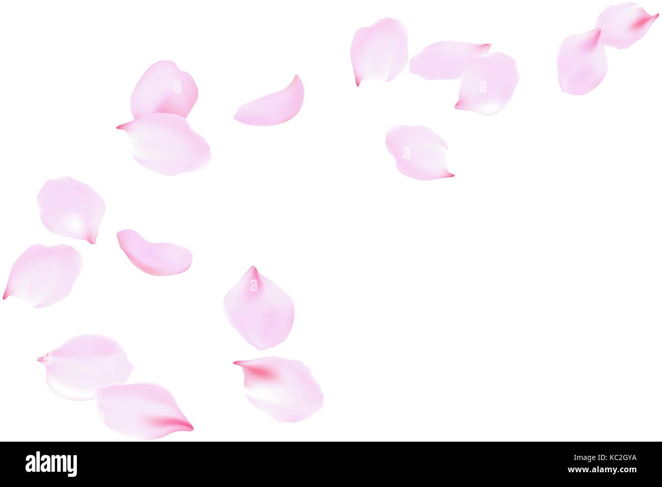 Wind rose vector vectors hi-res stock photography and images - Alamy