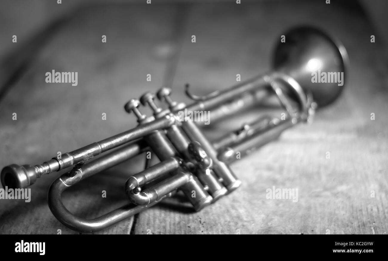 a beautiful jazz trumpet Stock Photo - Alamy
