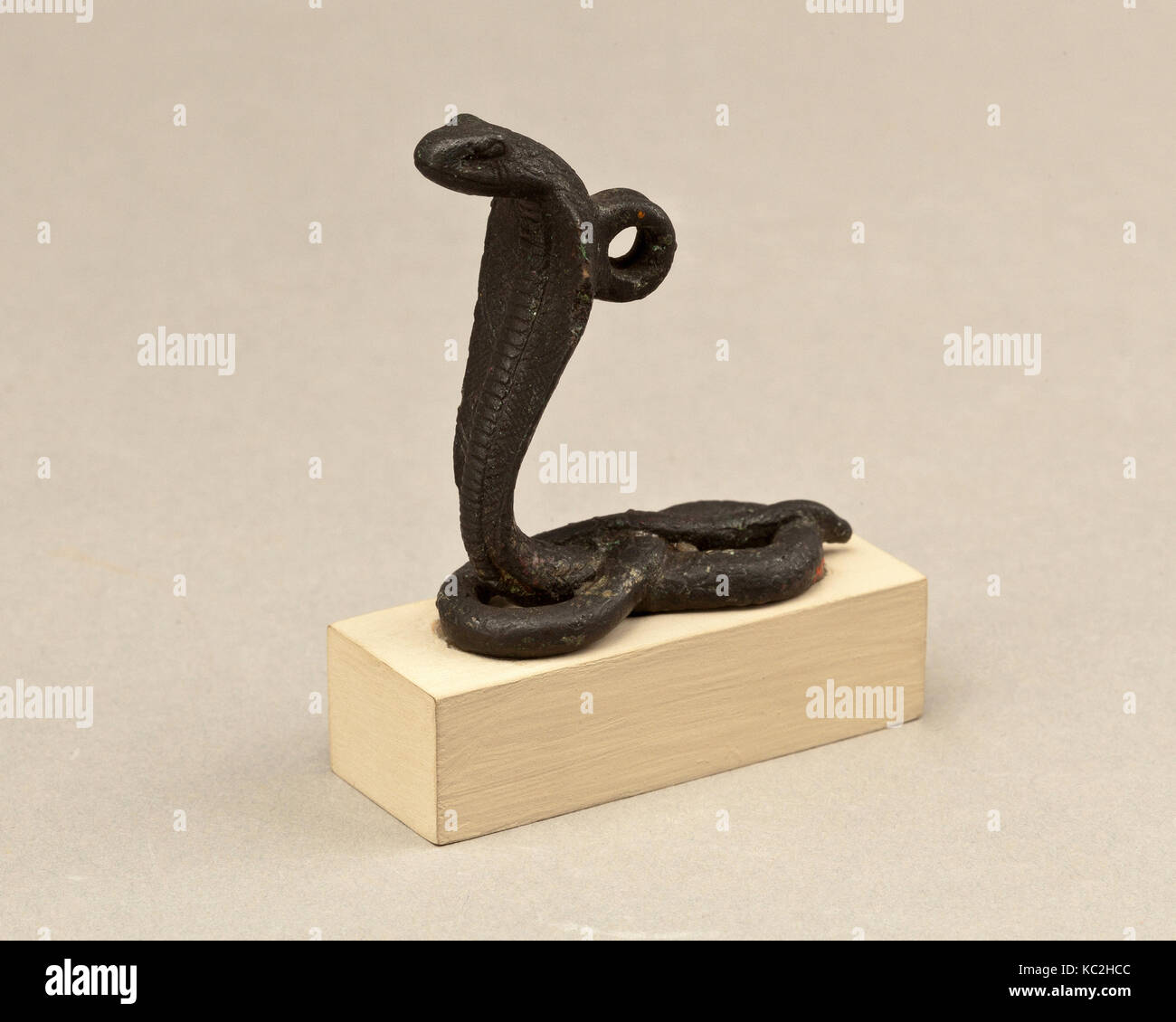 Coiled and cobra hi-res stock photography and images - Alamy