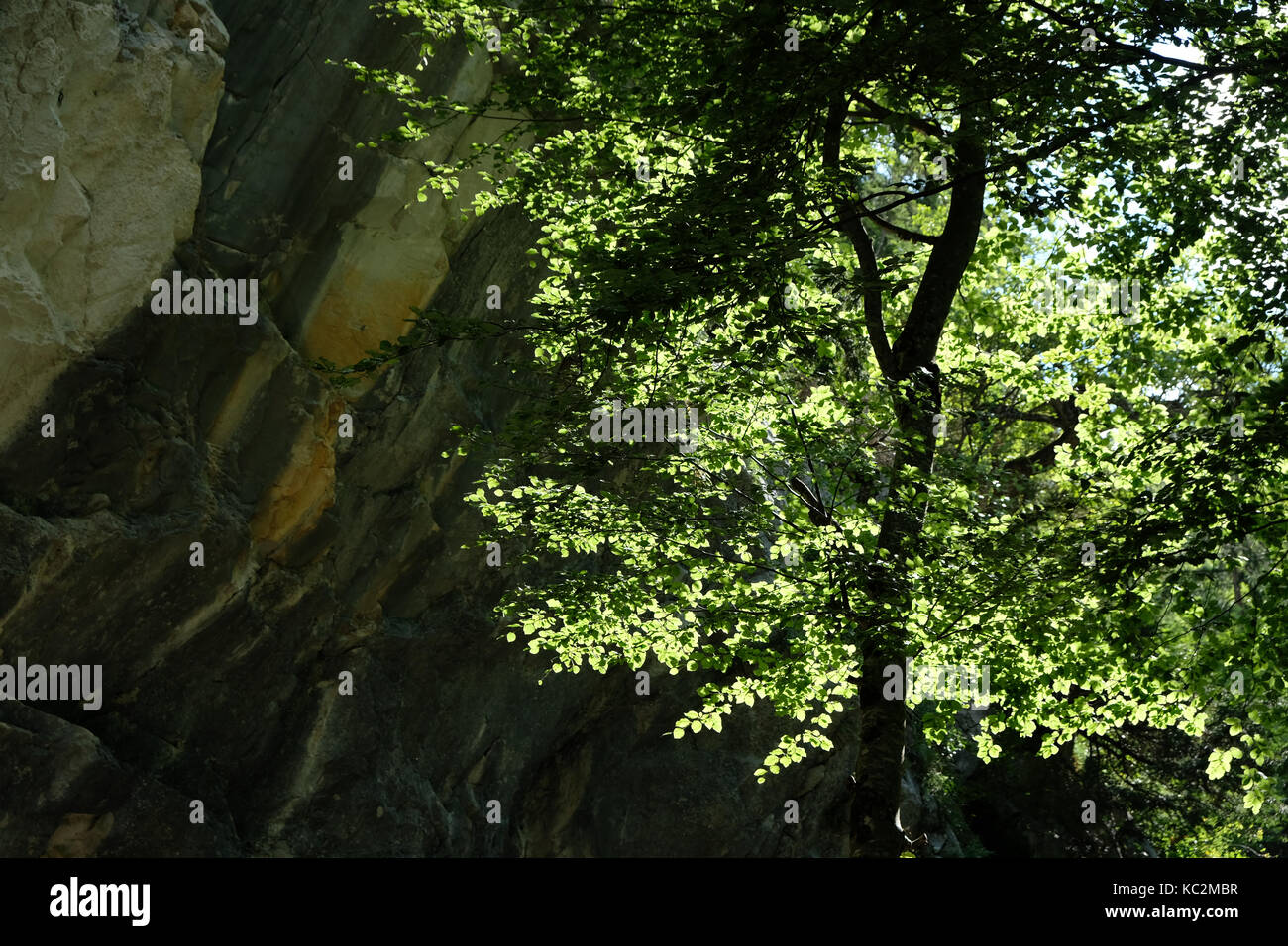 Dalle de tuet hi-res stock photography and images - Alamy