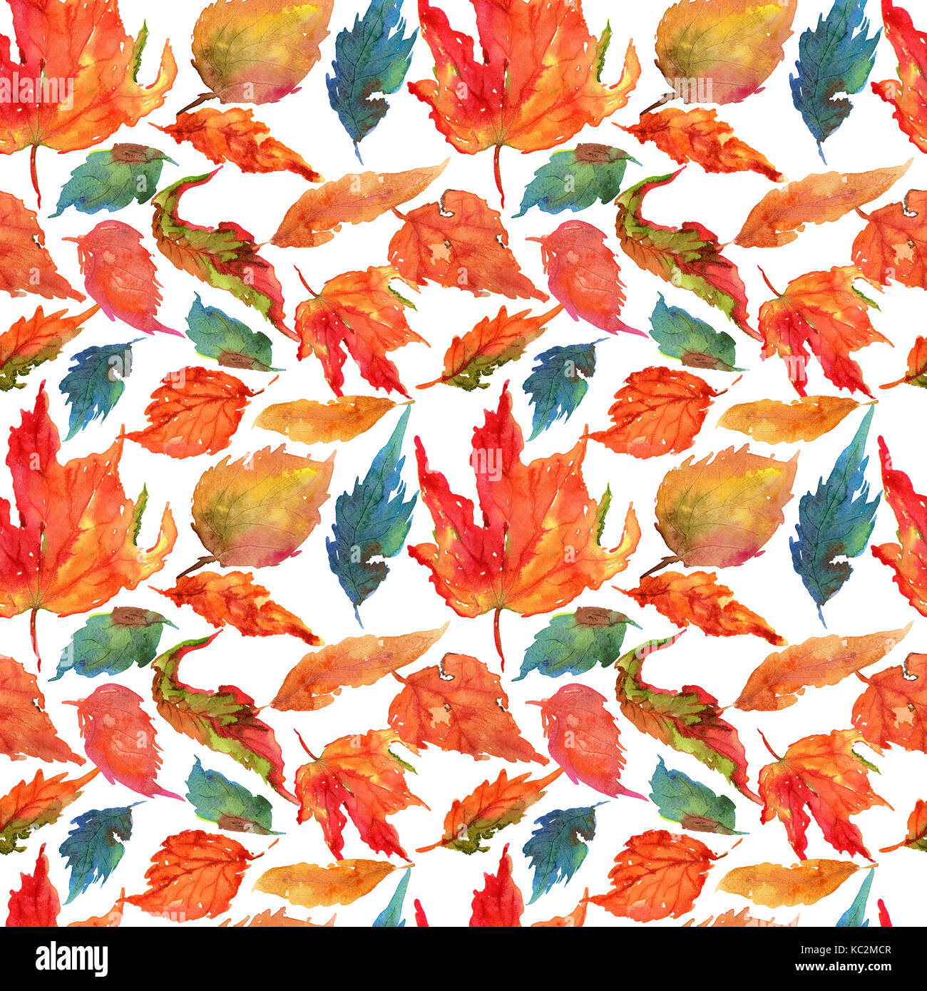 Hand drawing watercolor yellow autumn birch leaves pattern Stock Photo ...