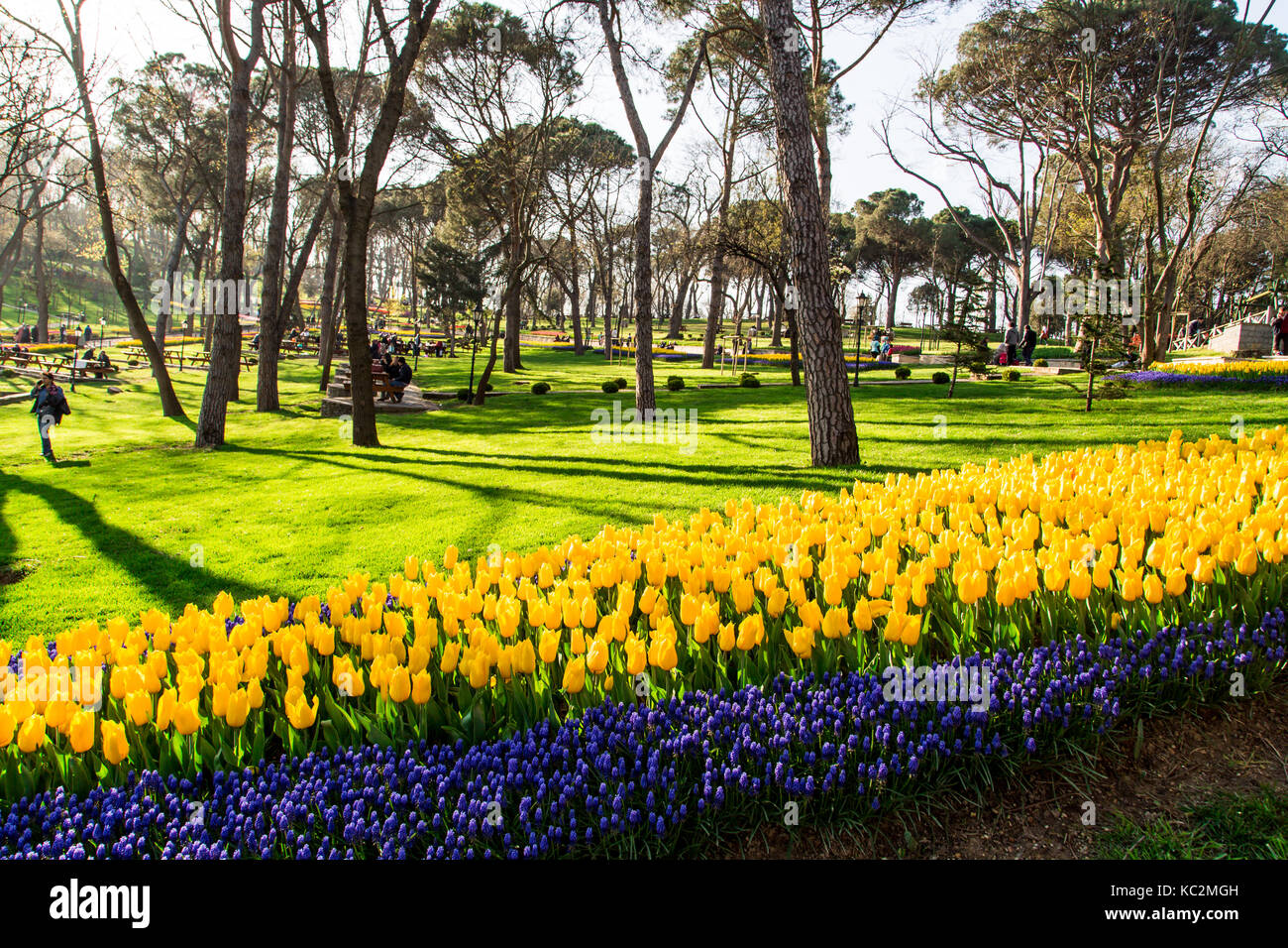 ISTANBUL, TURKEY - APRIL 12, 2015 : General view of Emirgan Parc with ...