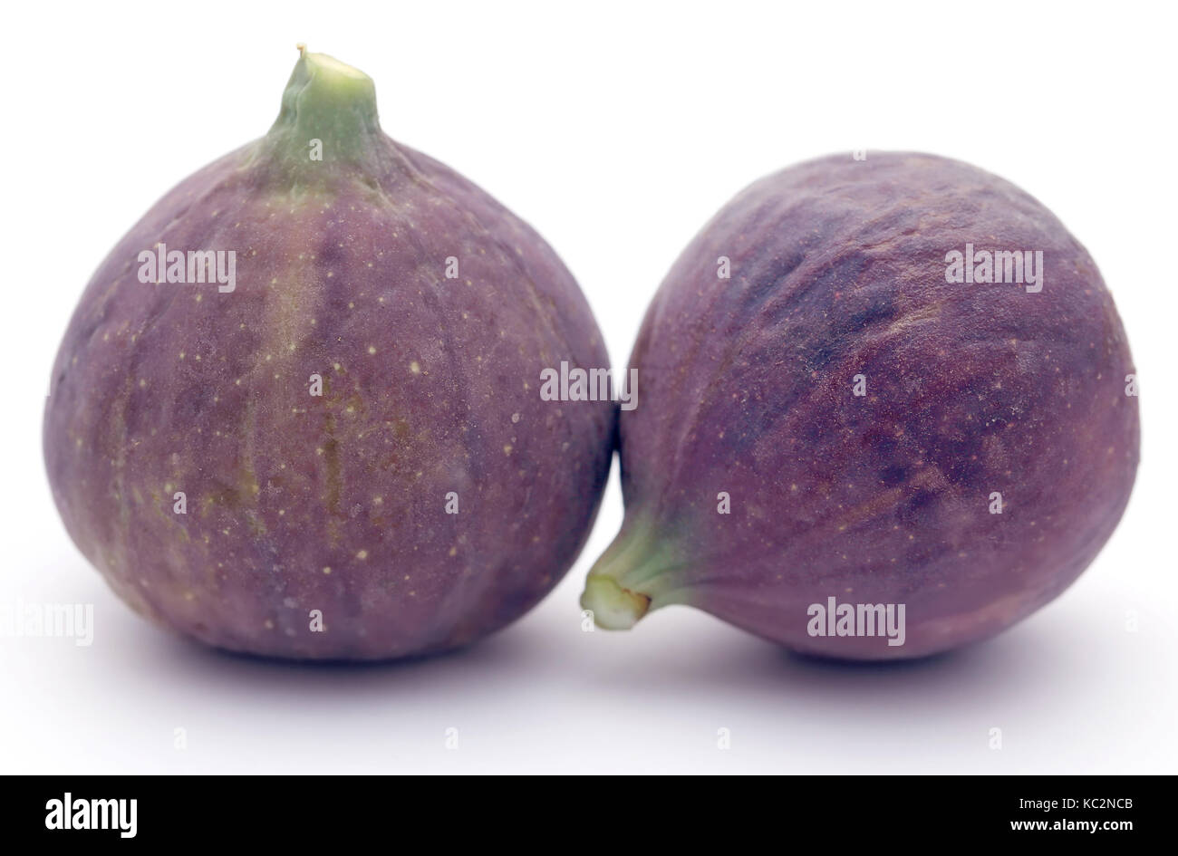 Fresh organic common figs over white background Stock Photo - Alamy