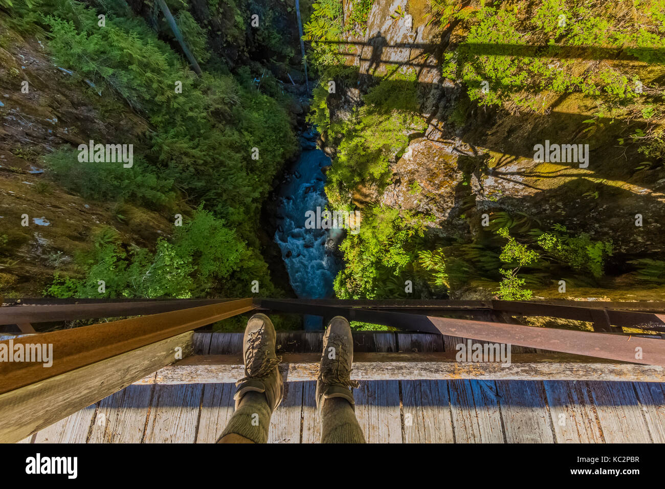 View from the High Hoh Bridge above the Hoh River, where the Hoh has ...
