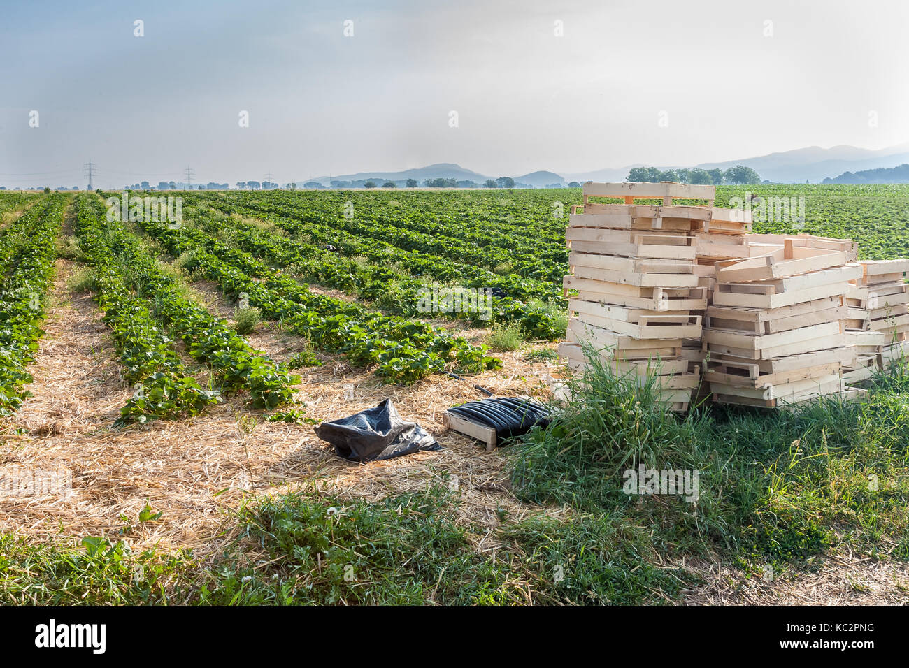 wooden crates piled next to a field Stock Photo - Alamy