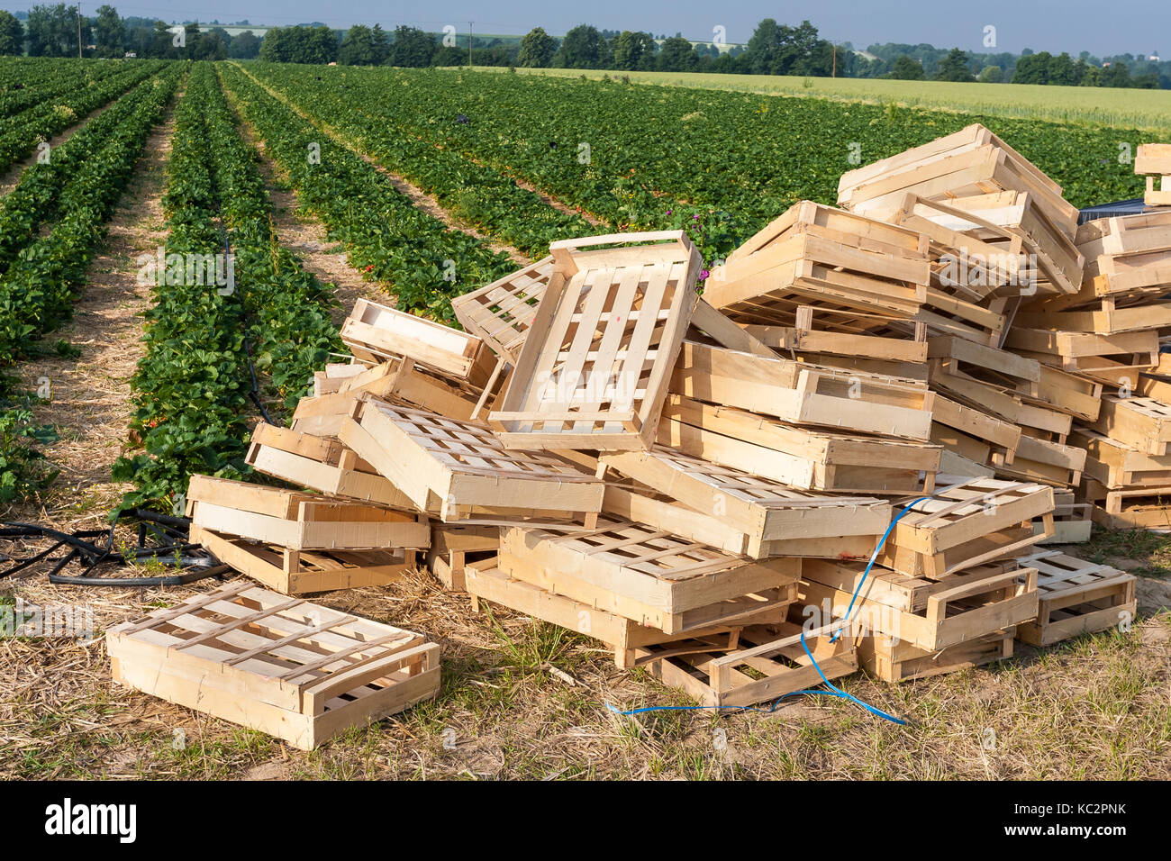 wooden crates piled next to a field Stock Photo - Alamy