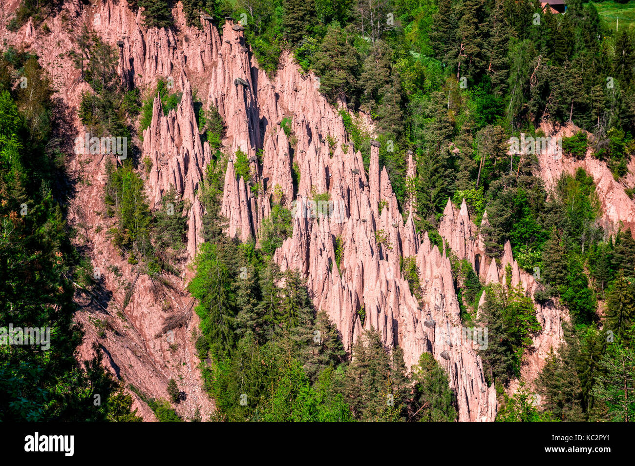 Italy, South Tirol, Earth Pyramids on Renon mountain Stock Photo - Alamy