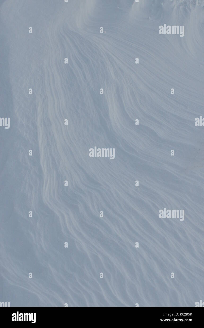 Streaks of snow. Snowflakes on the ice. Winter and frost. ice sheet ...