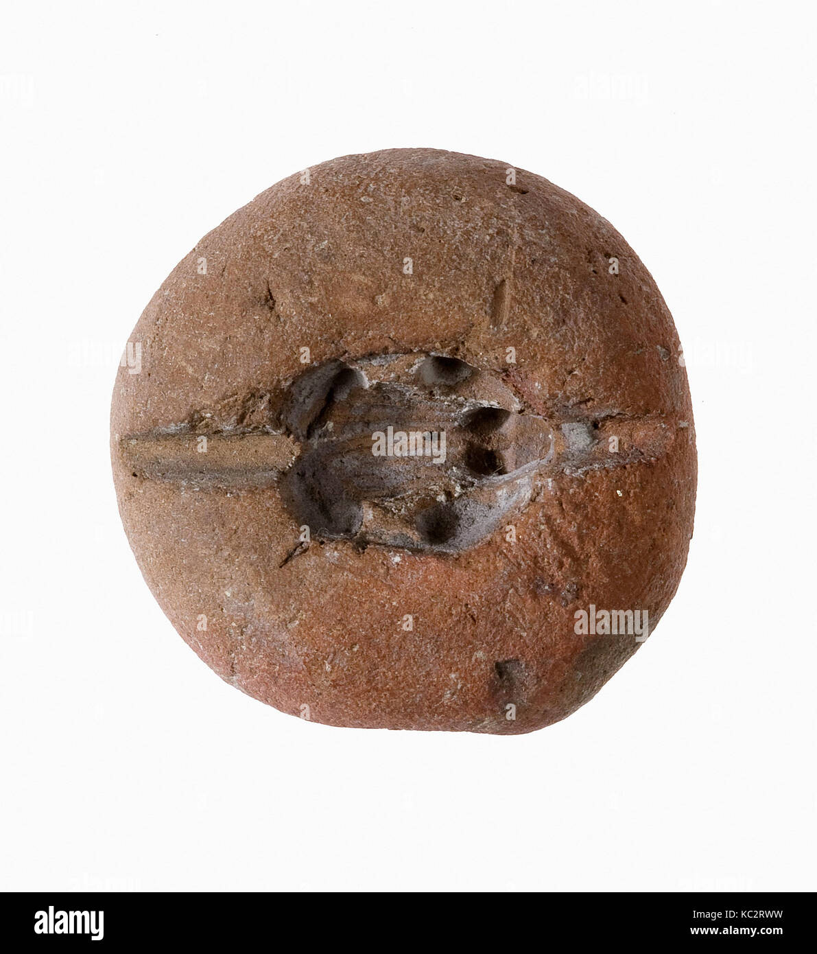 Frog mold hi-res stock photography and images - Alamy