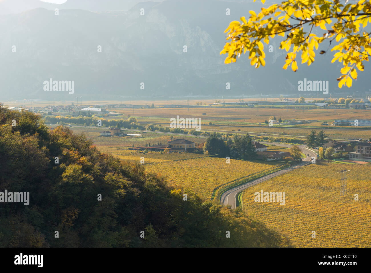Italy, Trentino Alto Adige, vineyards in autumn on Adige valley Stock ...