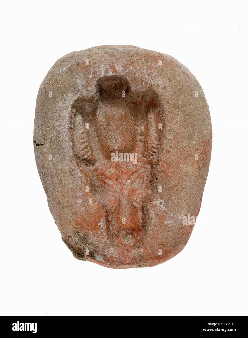 C b fox Cut Out Stock Images & Pictures - Alamy