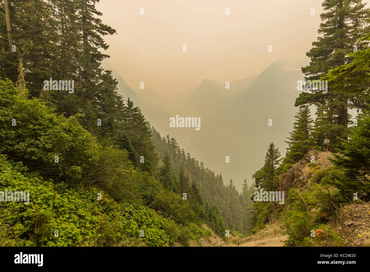 Olympic national park forest fire High Resolution Stock Photography and ...