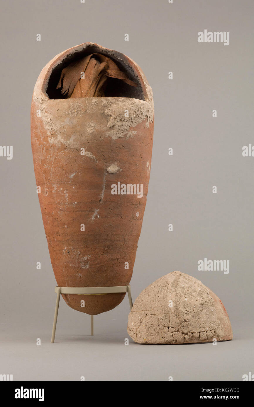 Mummy ibis hi-res stock photography and images - Alamy
