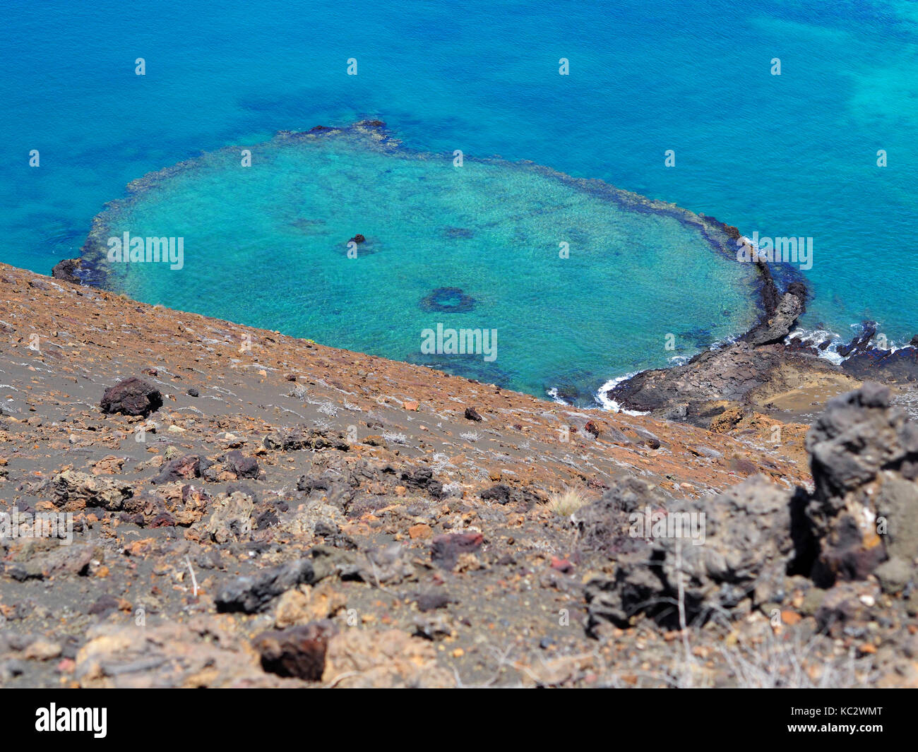 Genovesa - Galapagos Islands Ecuador Stock Photo - Alamy
