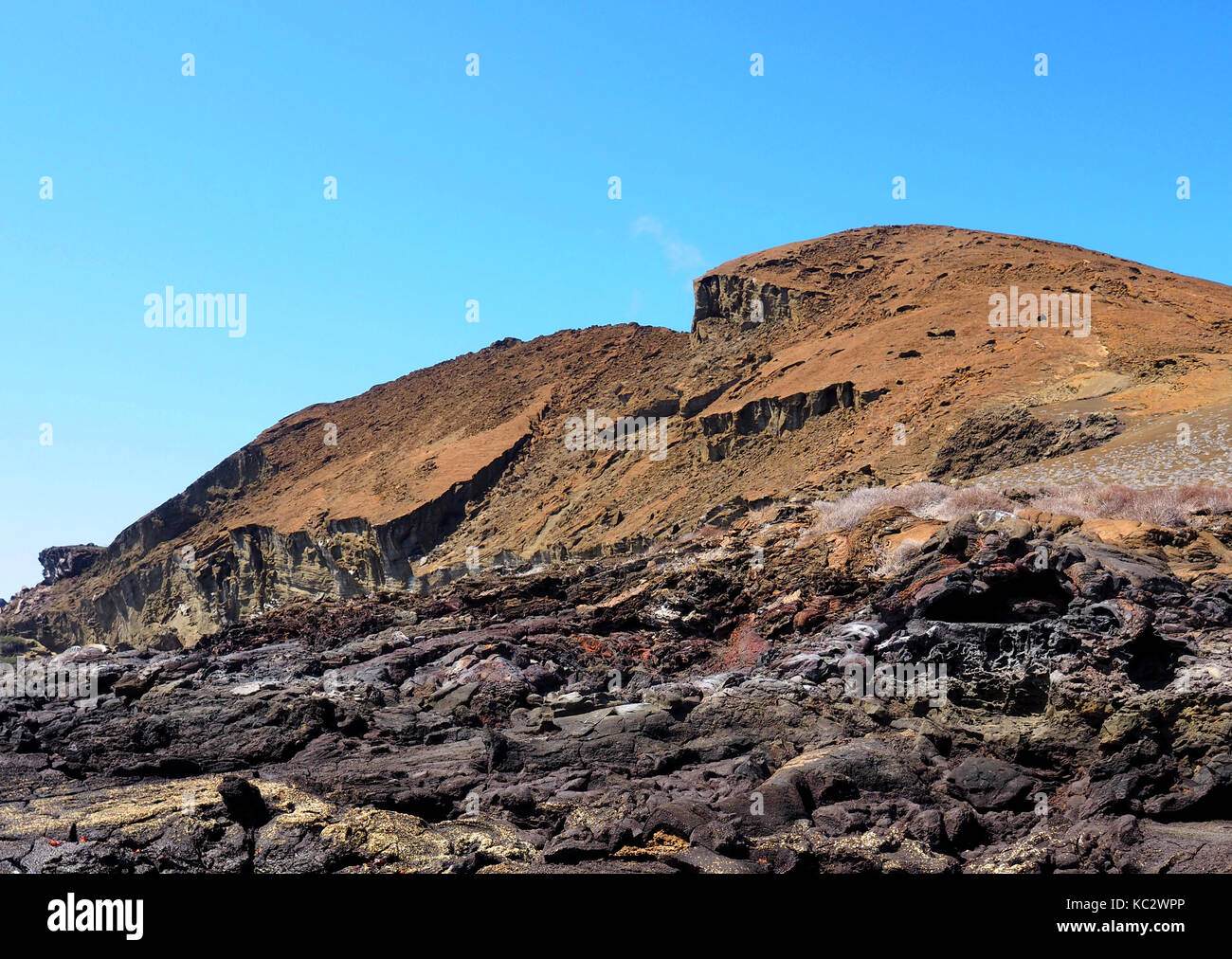 Genovesa - Galapagos Islands Ecuador Stock Photo - Alamy
