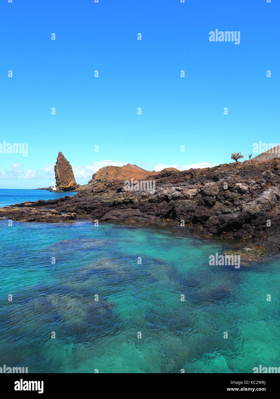 Genovesa - Galapagos Islands Ecuador Stock Photo - Alamy