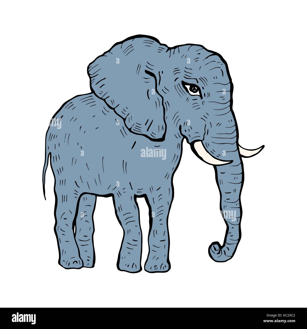 Elephant. Vector illustration Stock Vector Image & Art - Alamy