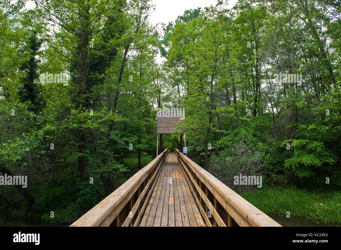 "La Fagiana" natural reserve, Ticino park, Pontevecchio di Magenta ...