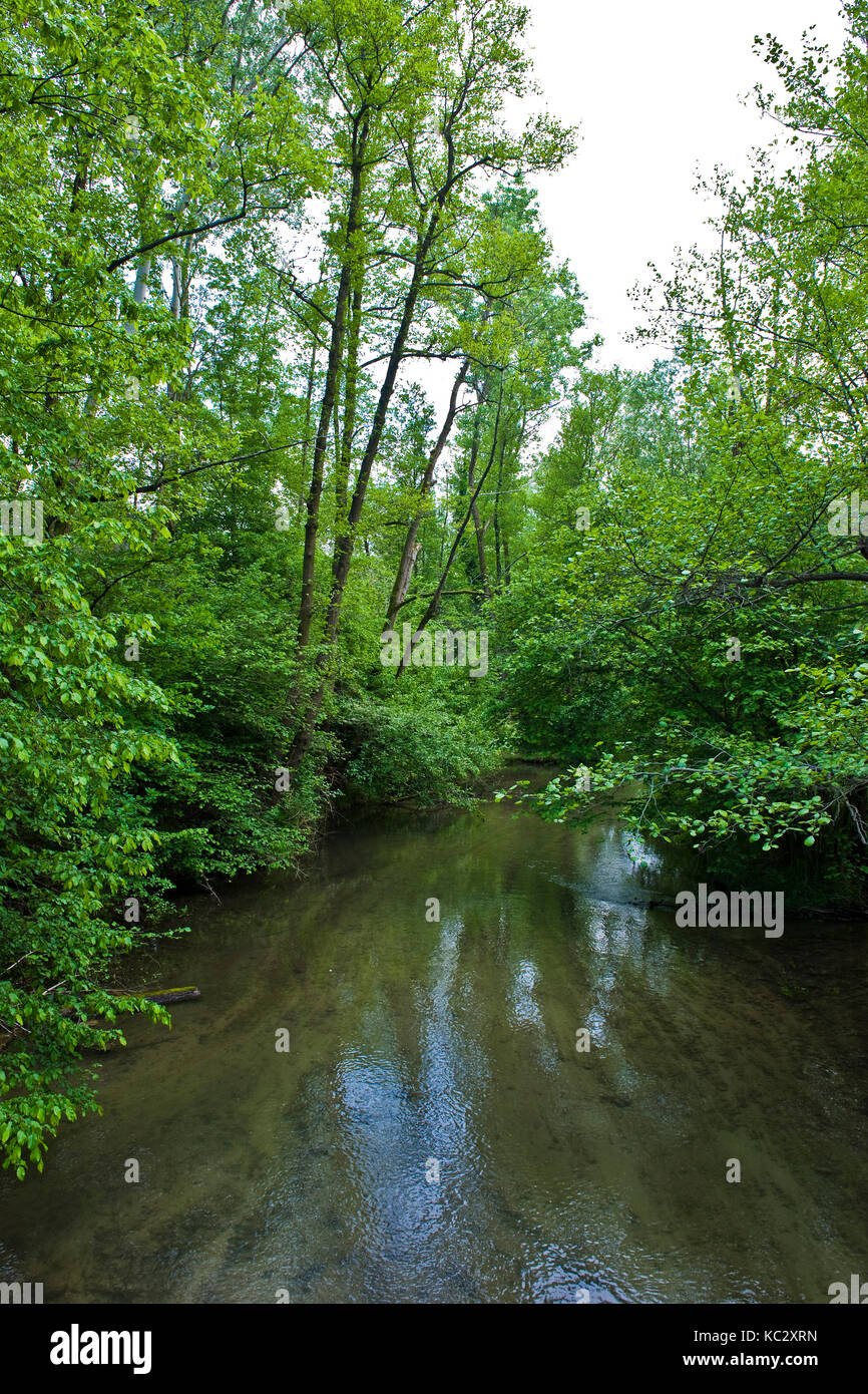 "La Fagiana" natural reserve, Ticino park, Pontevecchio di Magenta ...