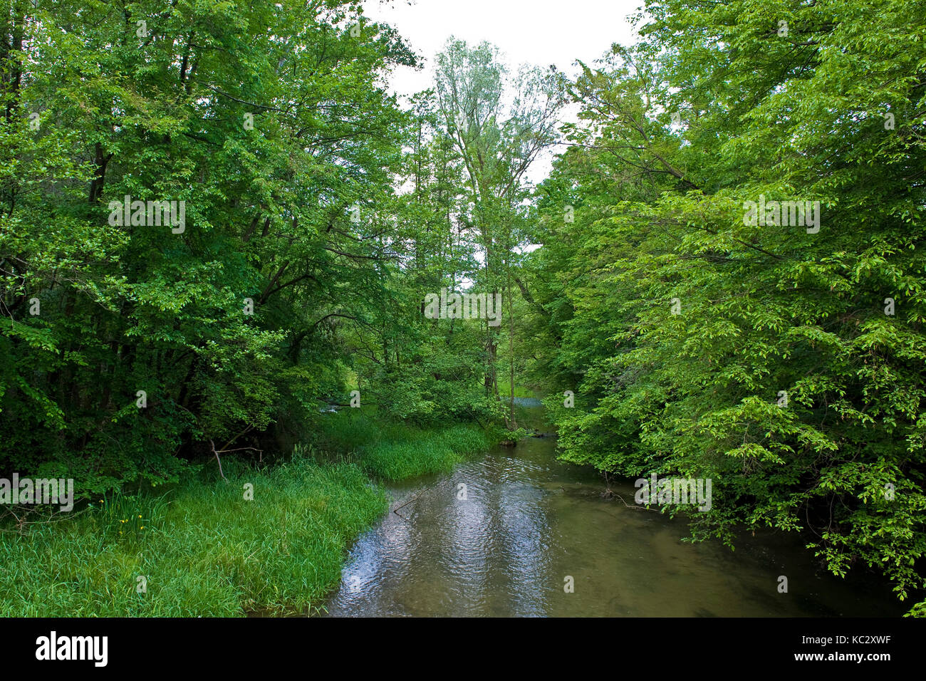 "La Fagiana" natural reserve, Ticino park, Pontevecchio di Magenta ...