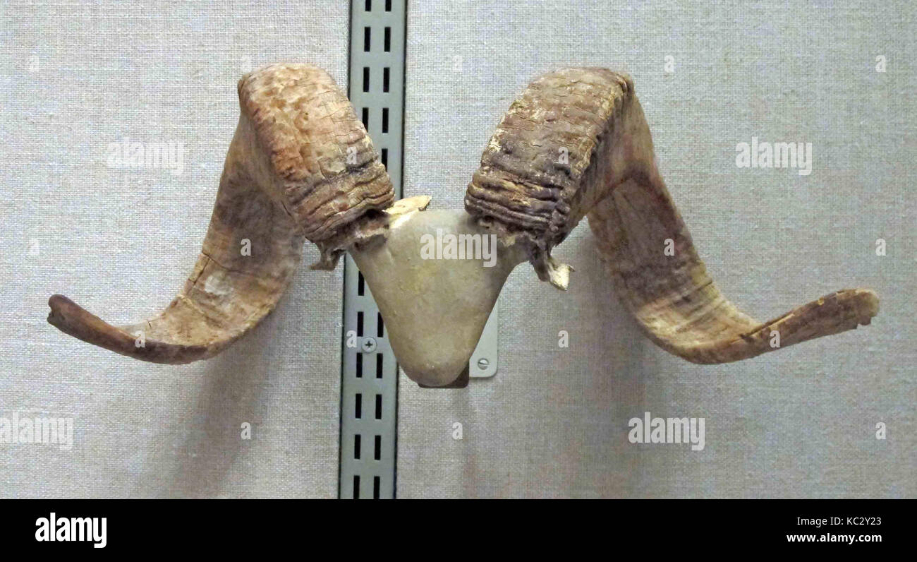 Pair of Ram's Horns, Second Intermediate Period, Dynasty 14–17, ca ...