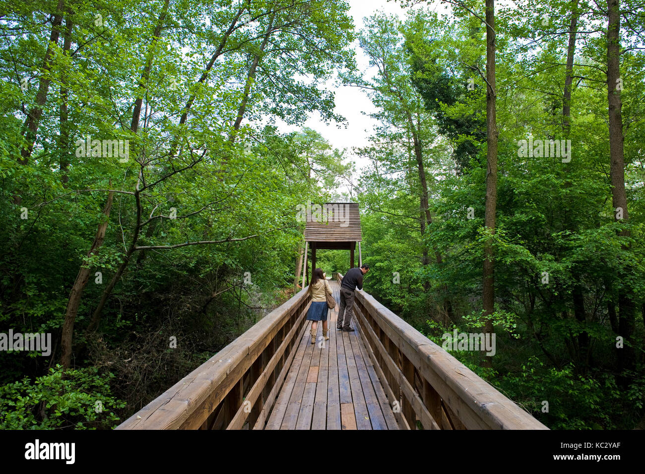 "La Fagiana" natural reserve, Ticino park, Pontevecchio di Magenta ...