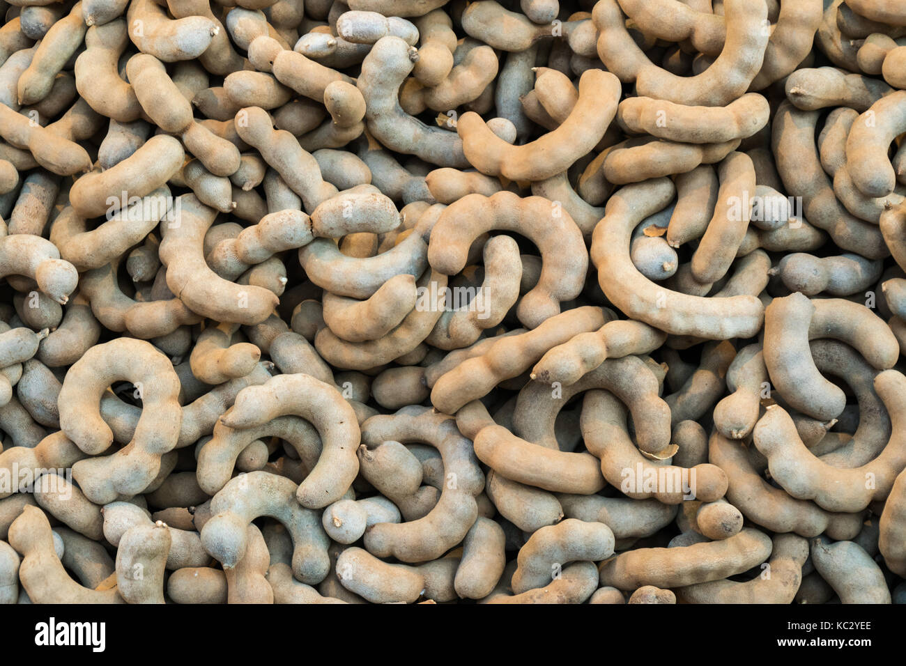 Group of ripe tamarind pods on the table Stock Photo - Alamy
