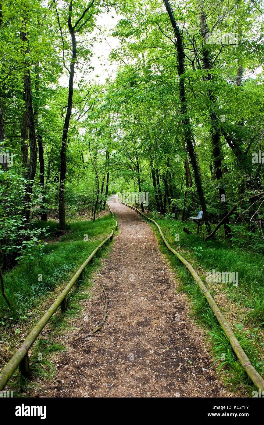 "La Fagiana" natural reserve, Ticino park, Pontevecchio di Magenta ...