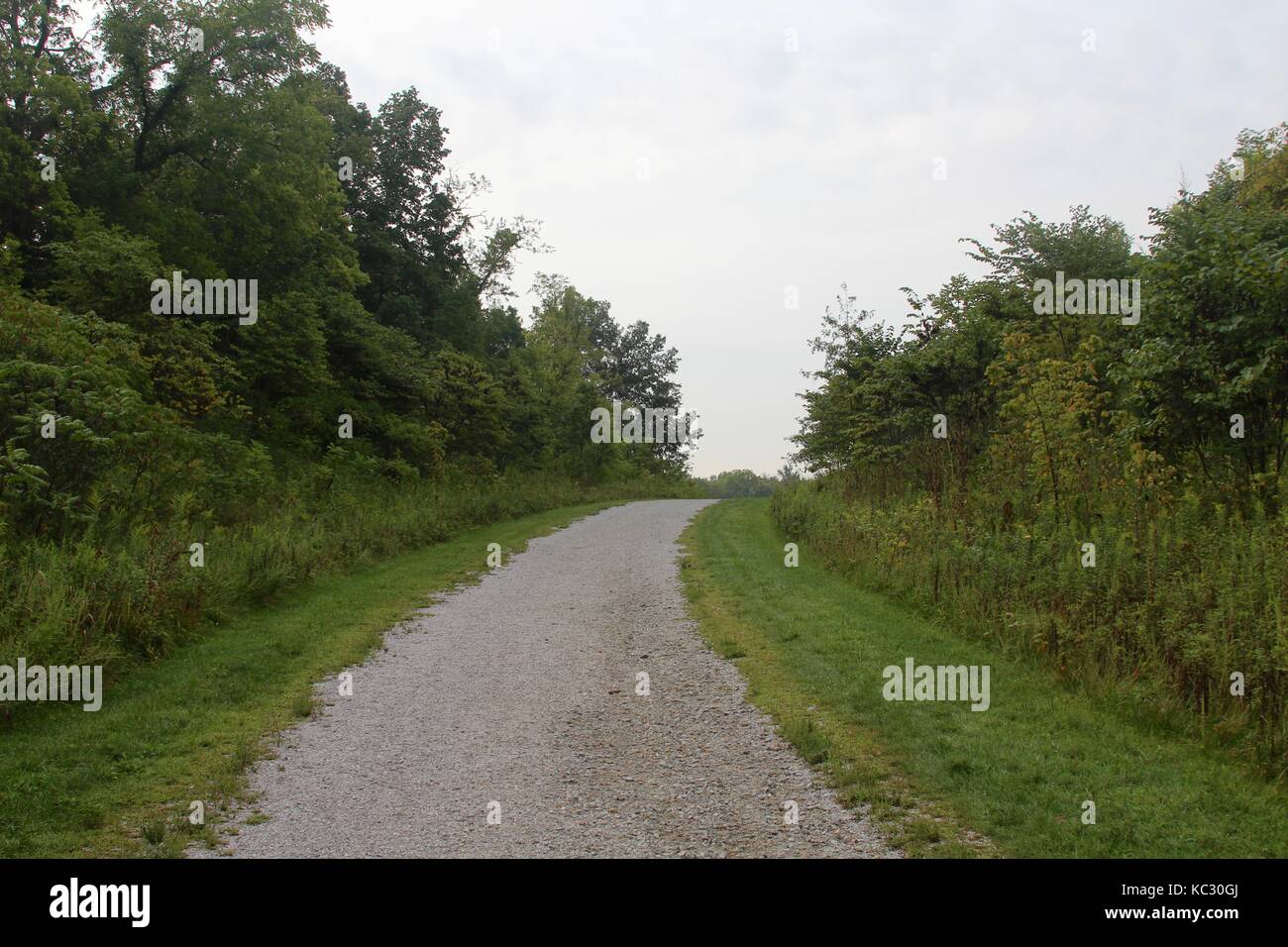 The plants, flowers and landscapes of some of the parks in Hamilton ...