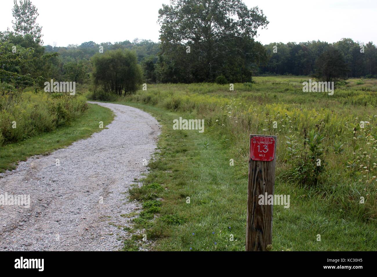 Hamilton landscapes hi-res stock photography and images - Alamy