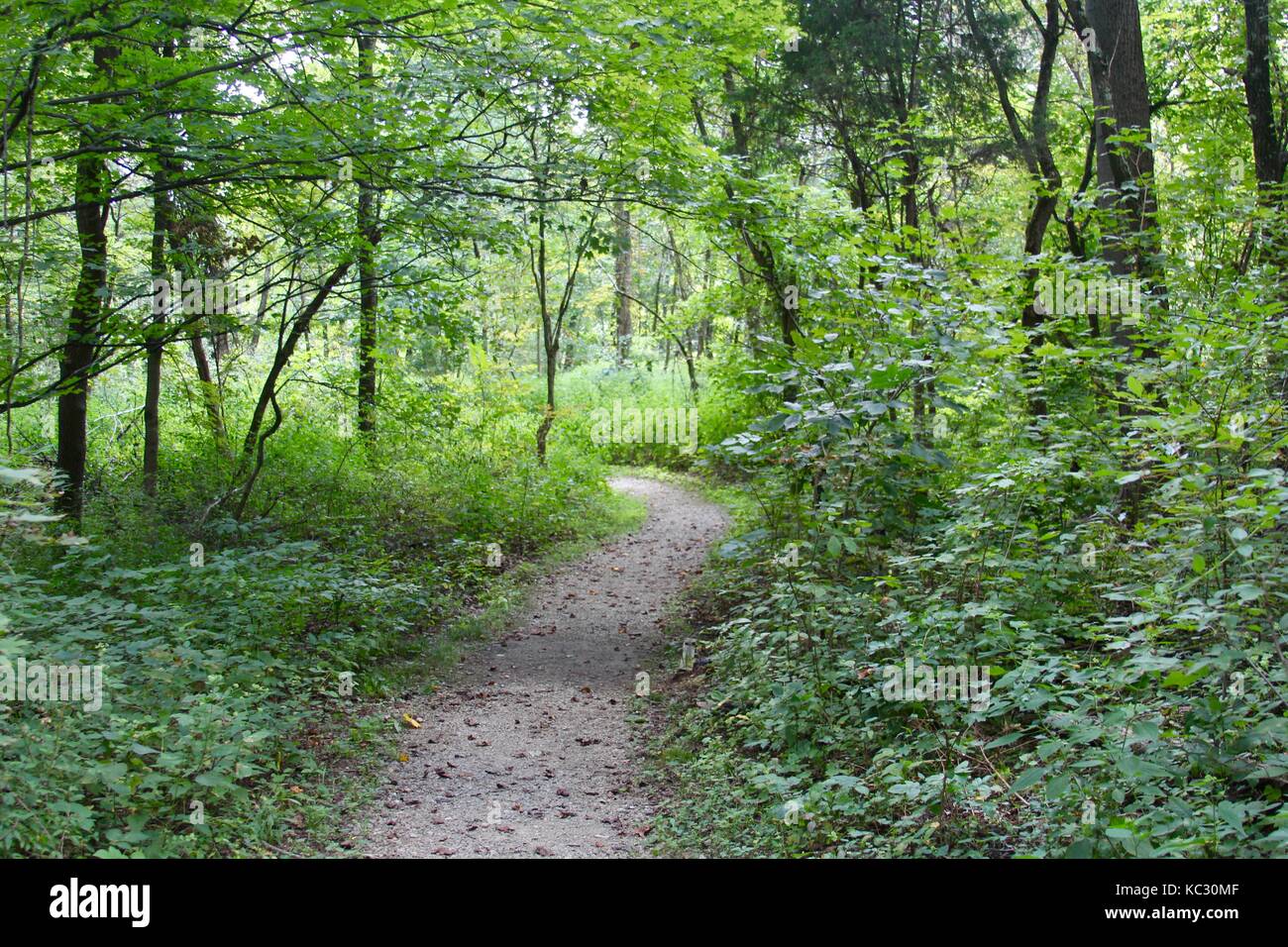 The plants, flowers and landscapes of some of the parks in Hamilton ...