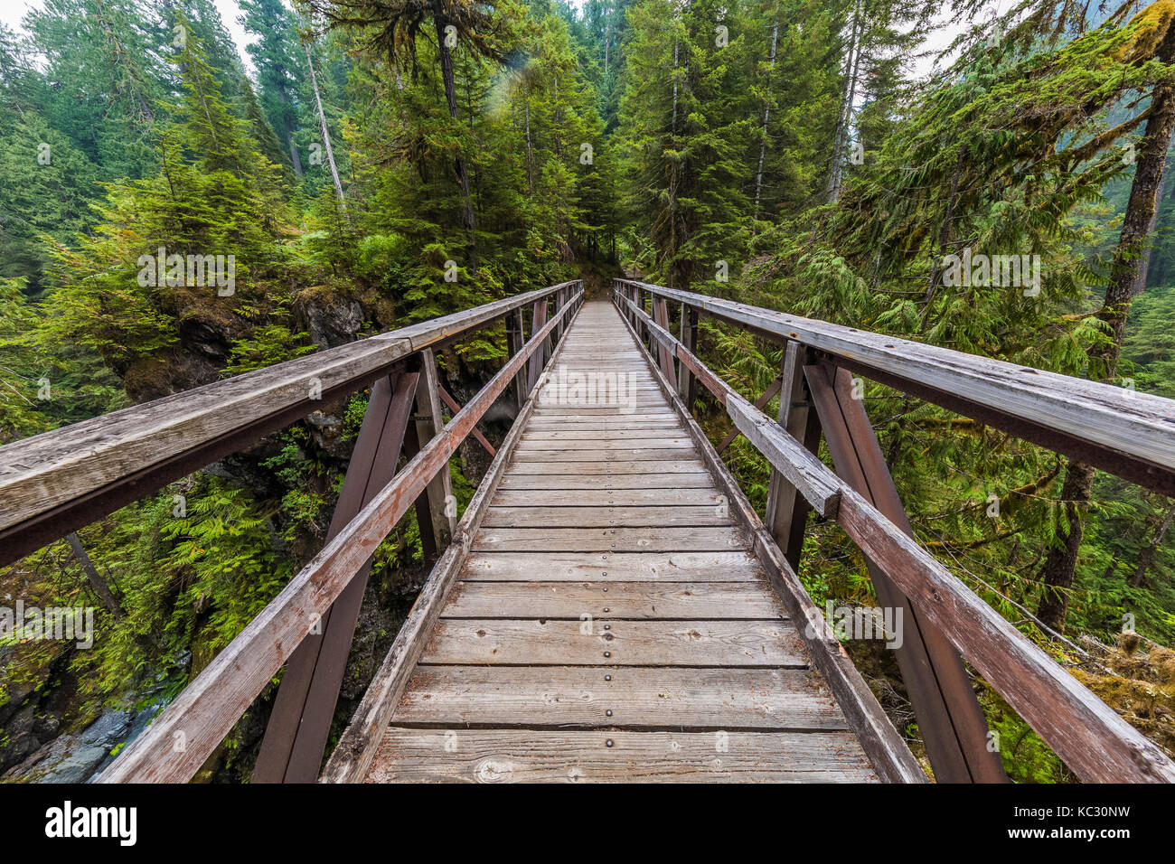 The High Hoh Bridge above the Hoh River, where the Hoh has cut a steep ...
