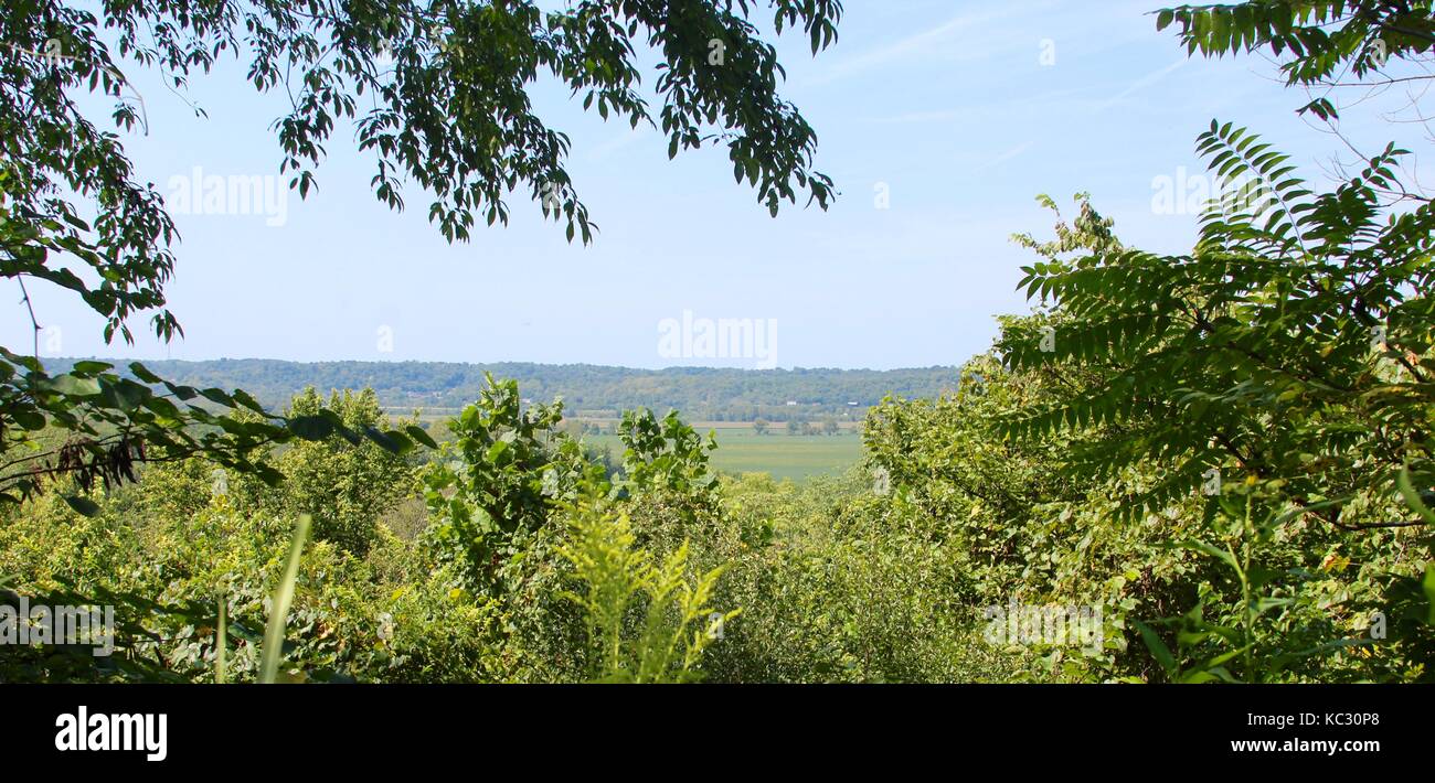 The plants, flowers and landscapes of some of the parks in Hamilton ...