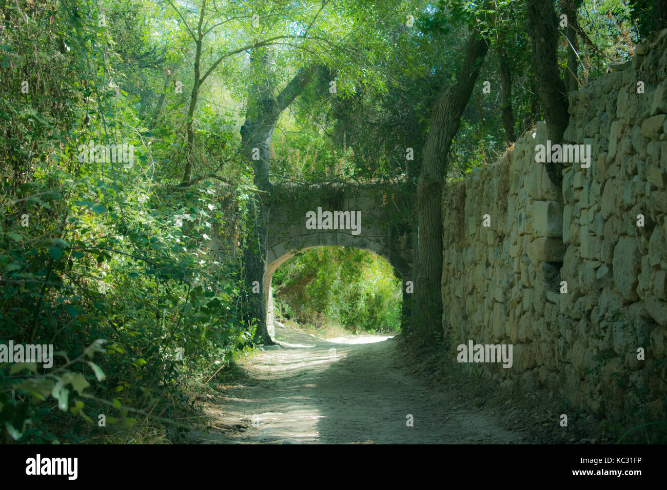 A road and stone archway in the middle of a forest Stock Photo - Alamy
