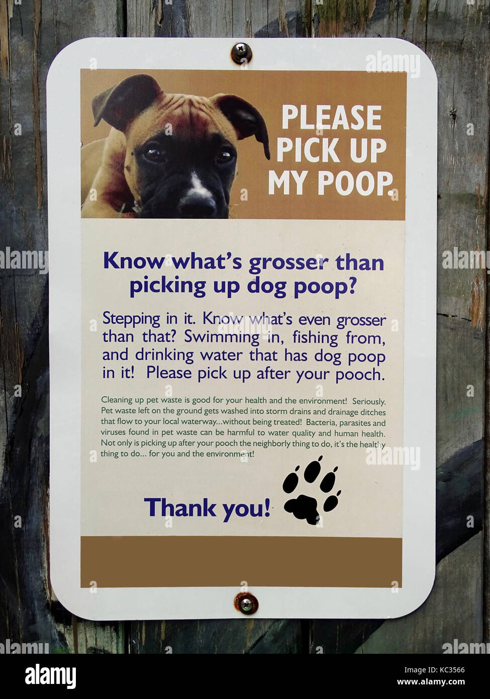 A sign requesting the cleaning up of dog poop in this area Stock Photo ...
