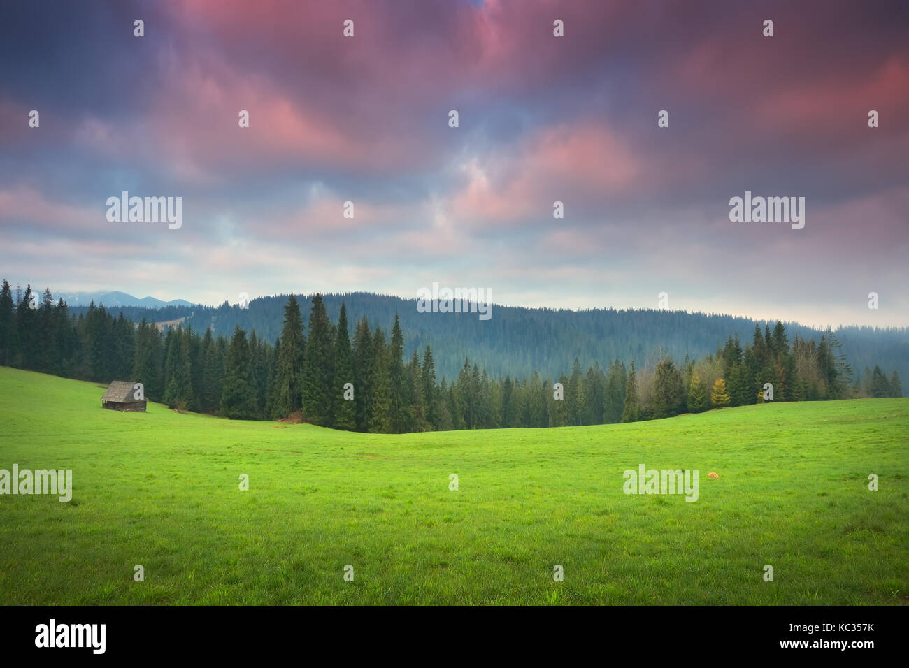 Green meadow in the morning. Colorful morning clouds over green valley ...