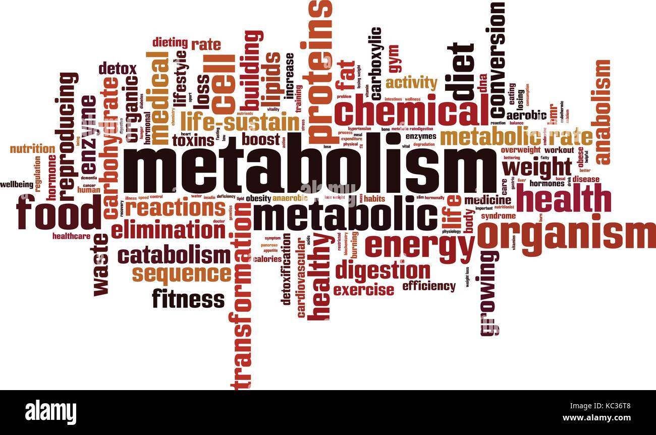 Metabolism word cloud concept. Vector illustration Stock Vector Image ...