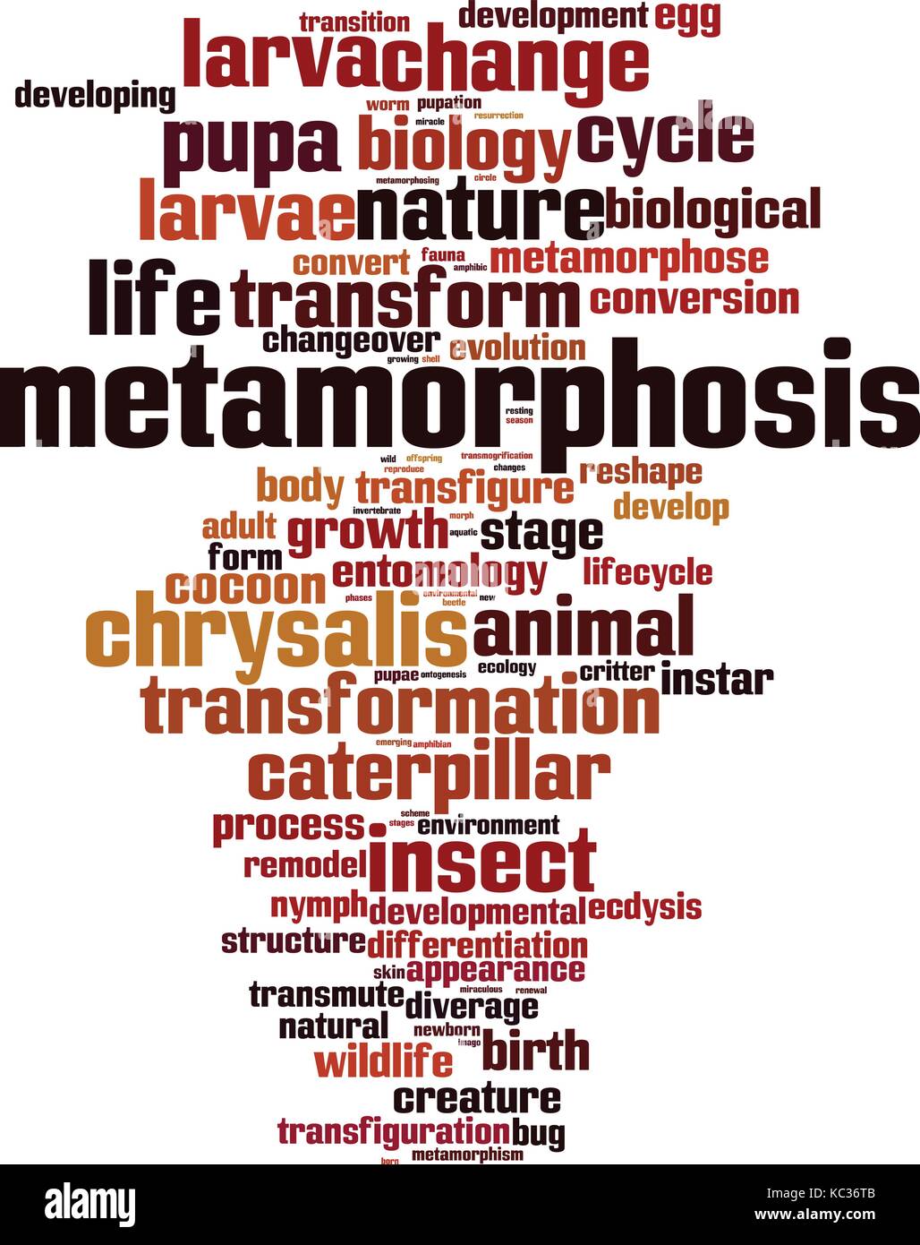Metamorphosis word cloud concept. Vector illustration Stock Vector ...