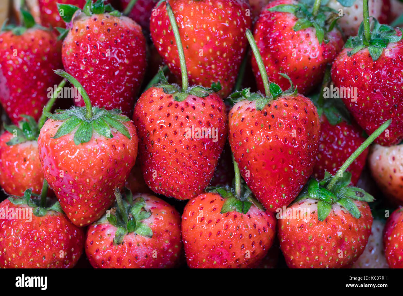 Close up of fresh strawberry Stock Photo - Alamy