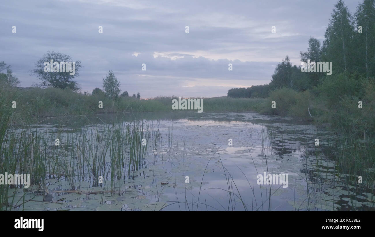 Misty morning on swamp at dusk in spring. Swamp at dusk Stock Photo - Alamy