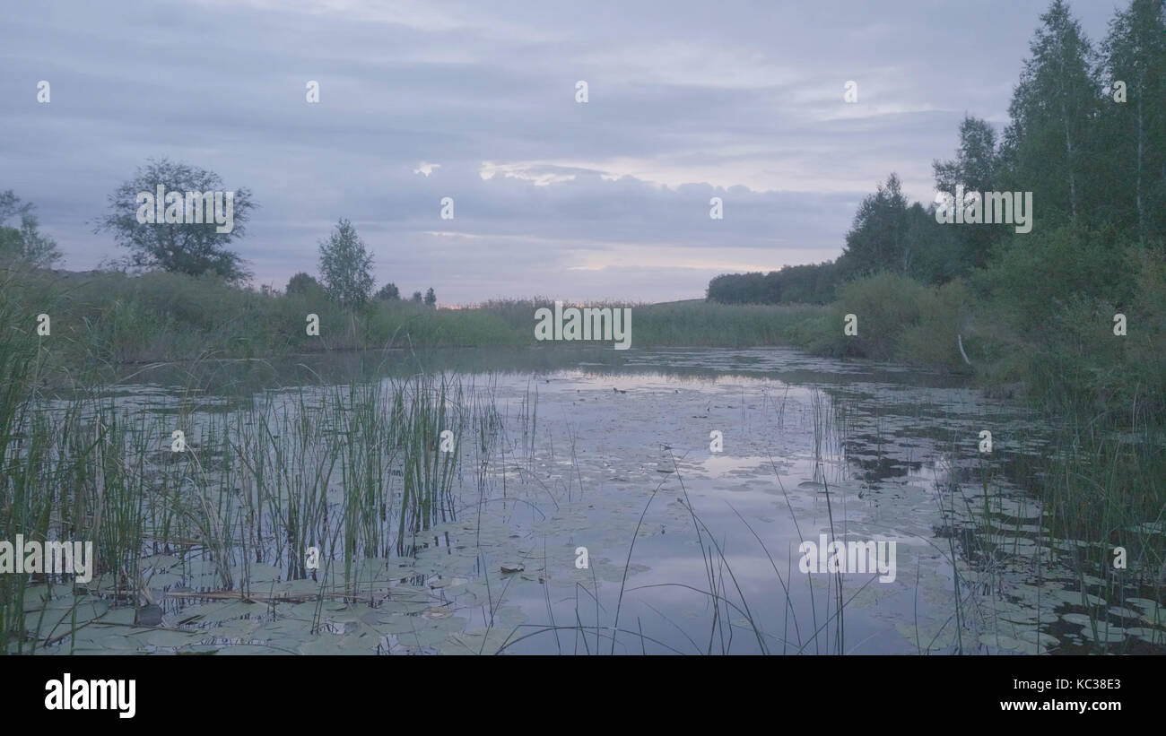 Misty morning on swamp at dusk in spring. Swamp at dusk Stock Photo - Alamy